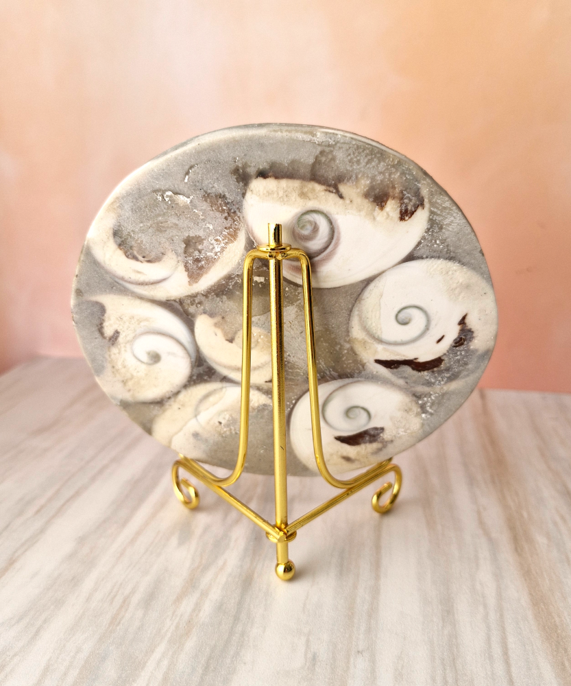 Fossilized Shiva Shell Plate – Alchemista